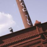 Company - TLV healthcare